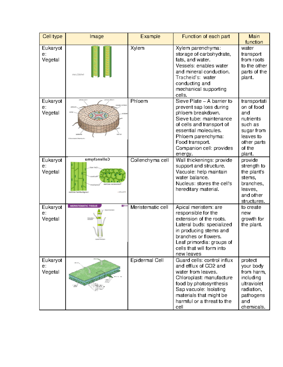 Cell type - life science - Cell type Image Example Function of each ...