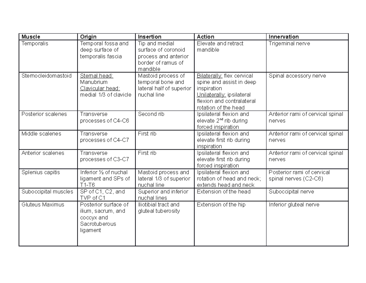 Final OP palpation chart - Muscle Origin Insertion Action Innervation ...