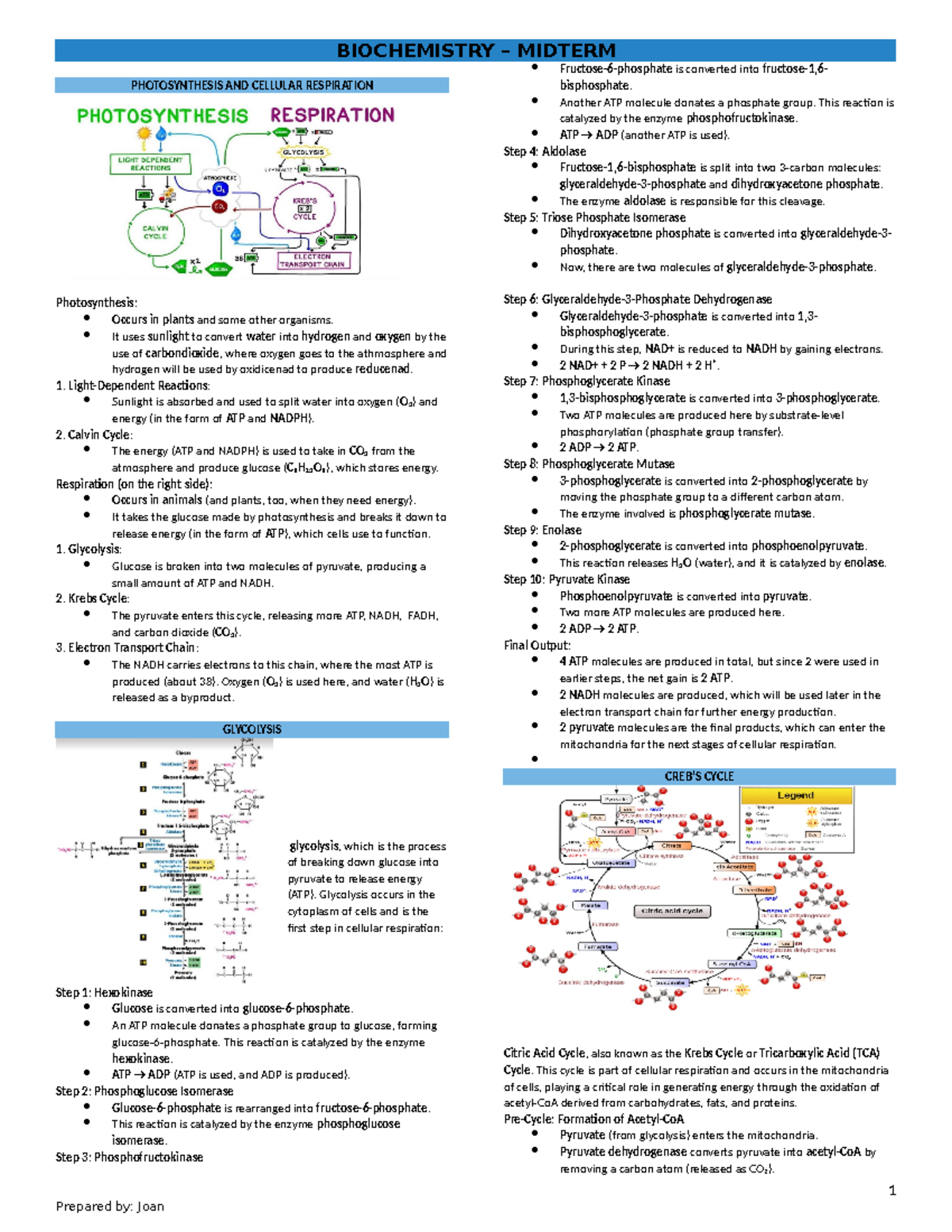 Biochem midterm - PHOTOSYNTHESIS AND CELLULAR RESPIRATION ...