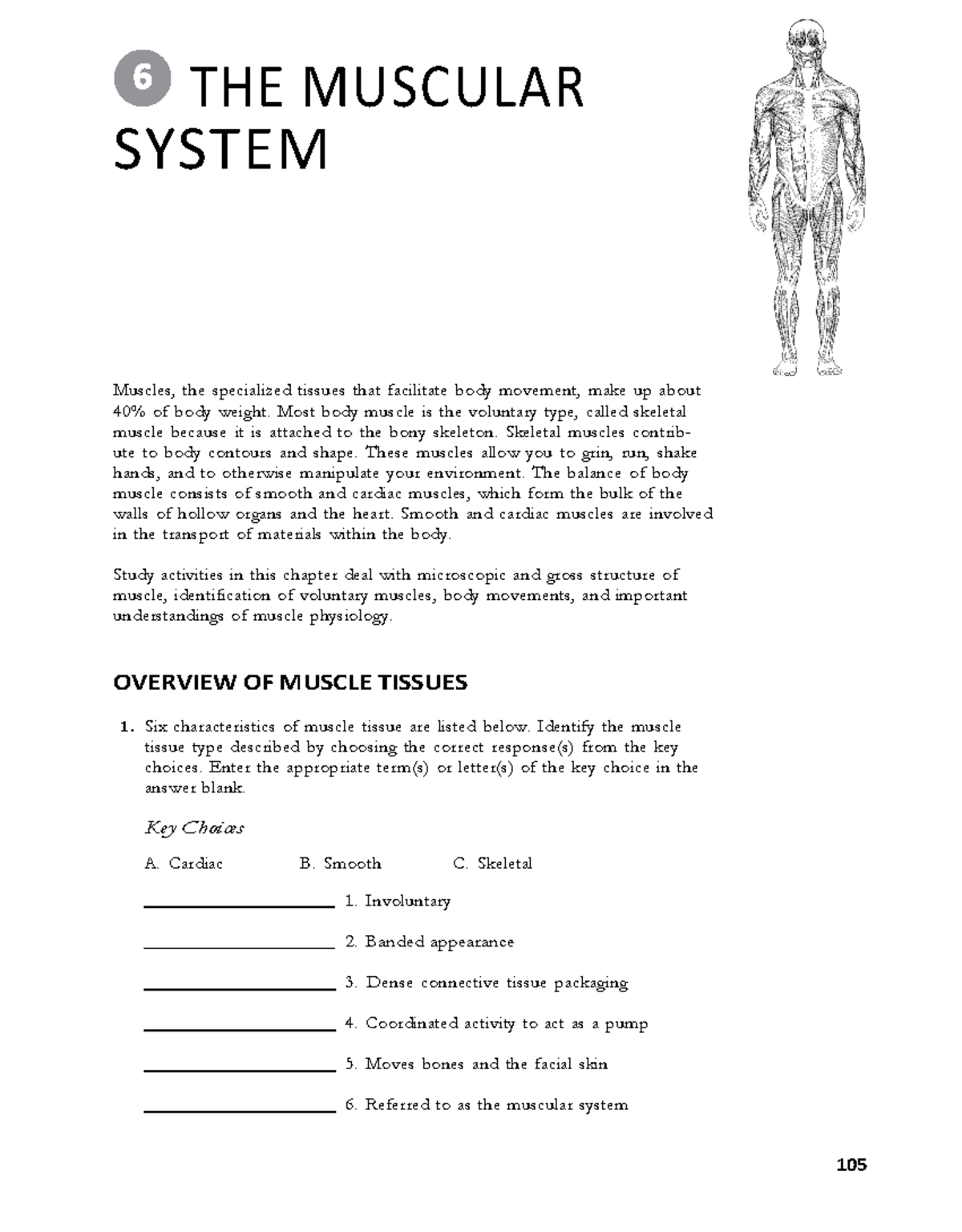Activity Worksheet Chapter 6 - THE MUSCULAR SYSTEM Muscles, the ...