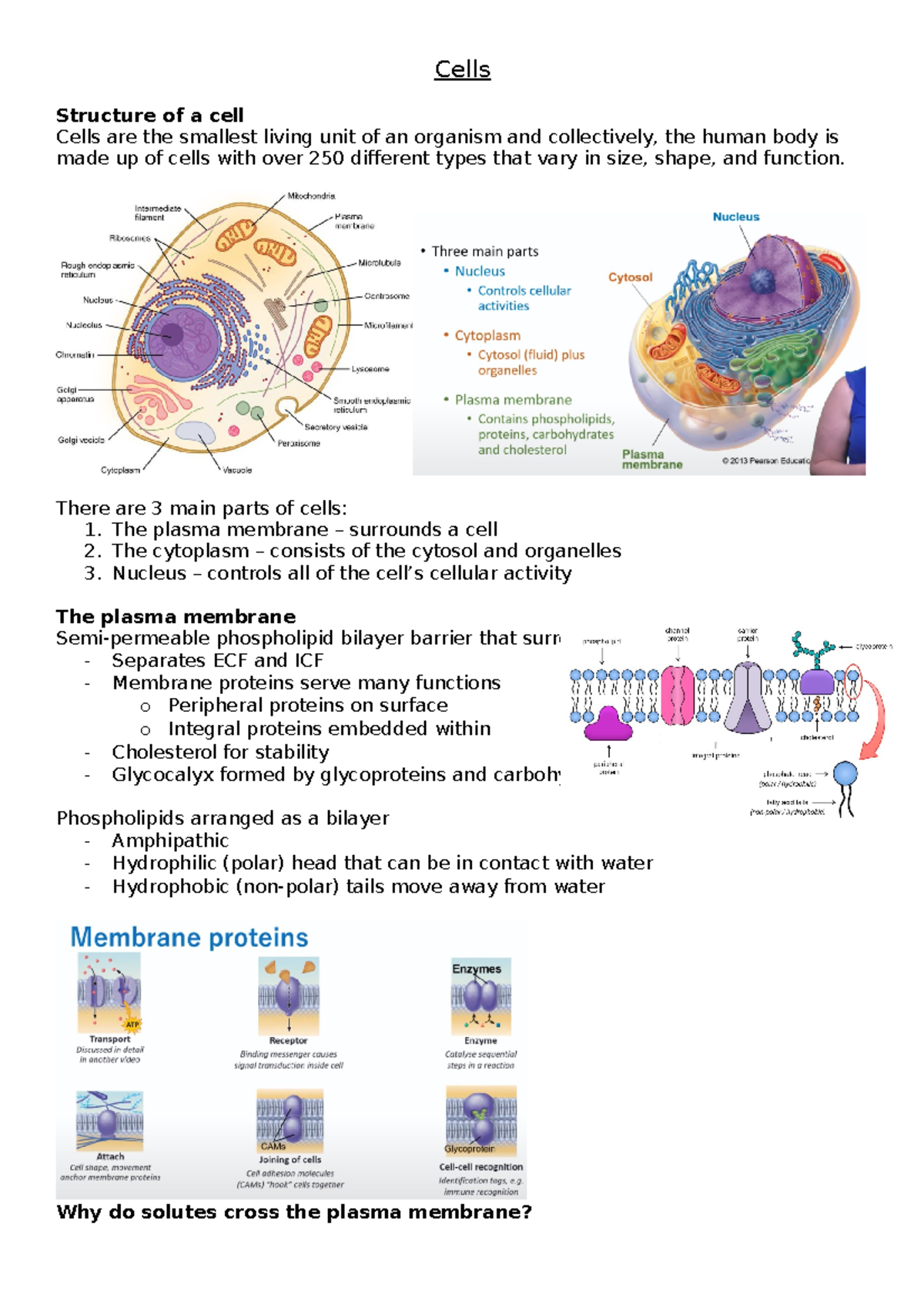 Cells - W1 - Cells Structure of a cell Cells are the smallest living ...