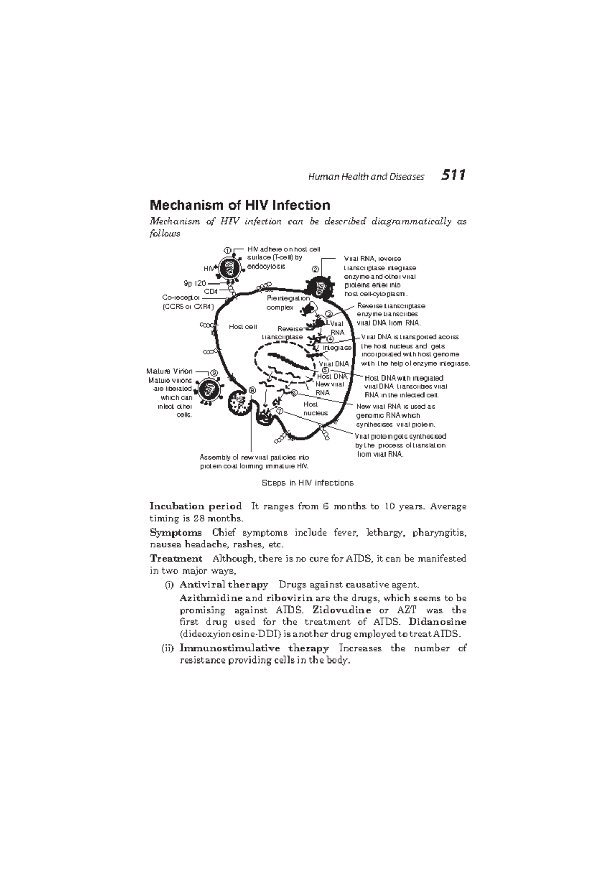 Mechanism of HIV Infection - Mechanism of HIV Infection Mechanism of ...