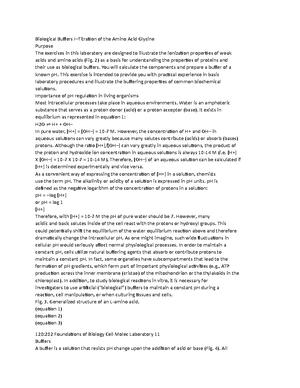 AP Biology Chapter 5 Notes - Campbell Biology Chapter 5: The Structure ...