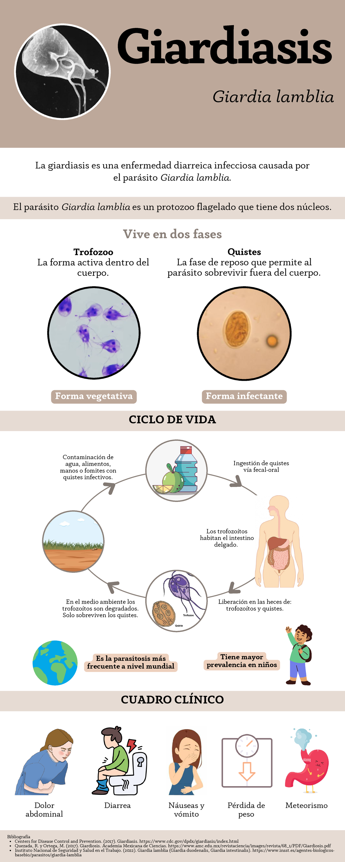 Infección por Giardiasis - Giardia lamblia Giardiasis La giardiasis es ...
