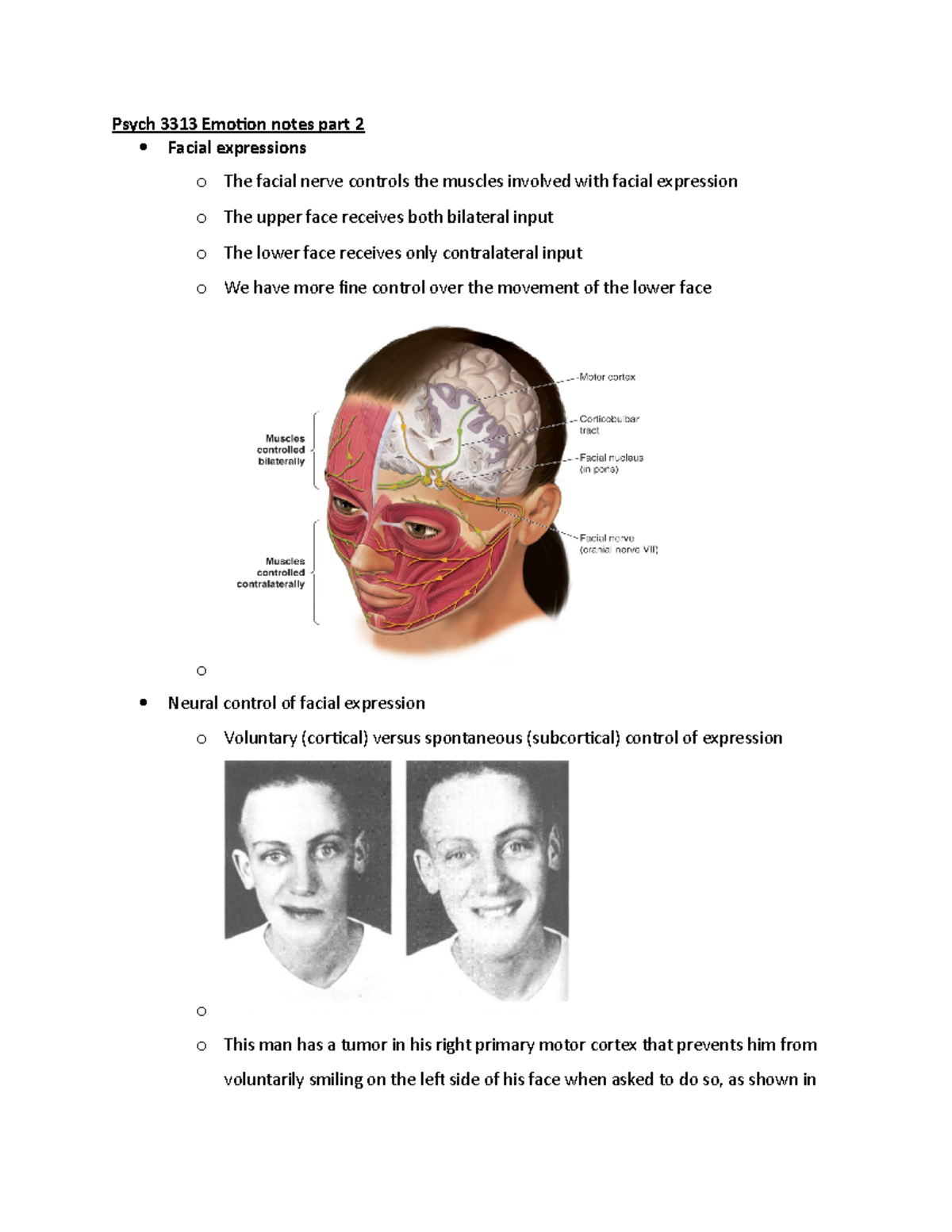Psych 3313 Emotion notes part 2 - Psych 3313 Emotion notes part 2 ...