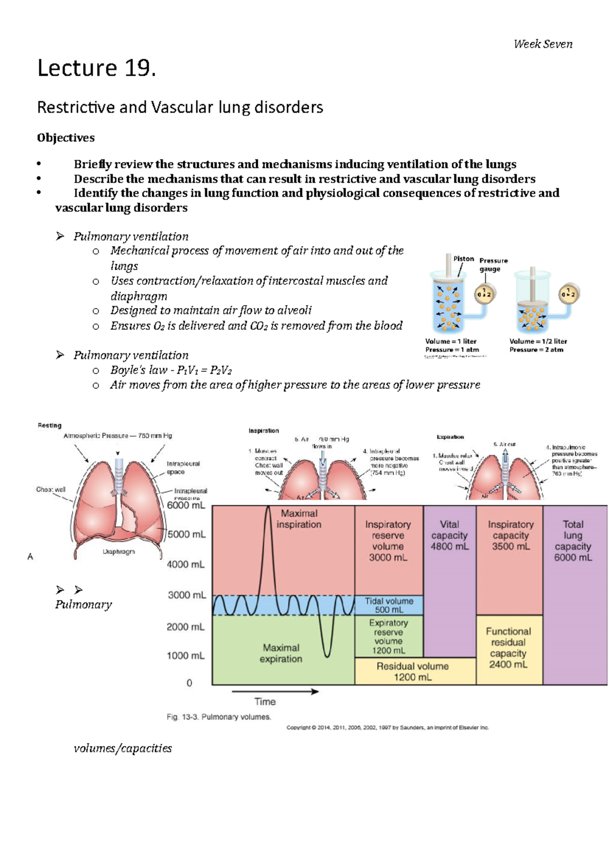 HUBS2505 Lecture 19 - Summary Notes - Lecture 19. Restrictive and ...