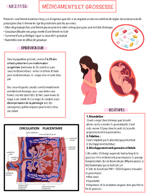 LES Elements Figures DU SANG ET L' Hematopoiese - Eléments figurés du ...