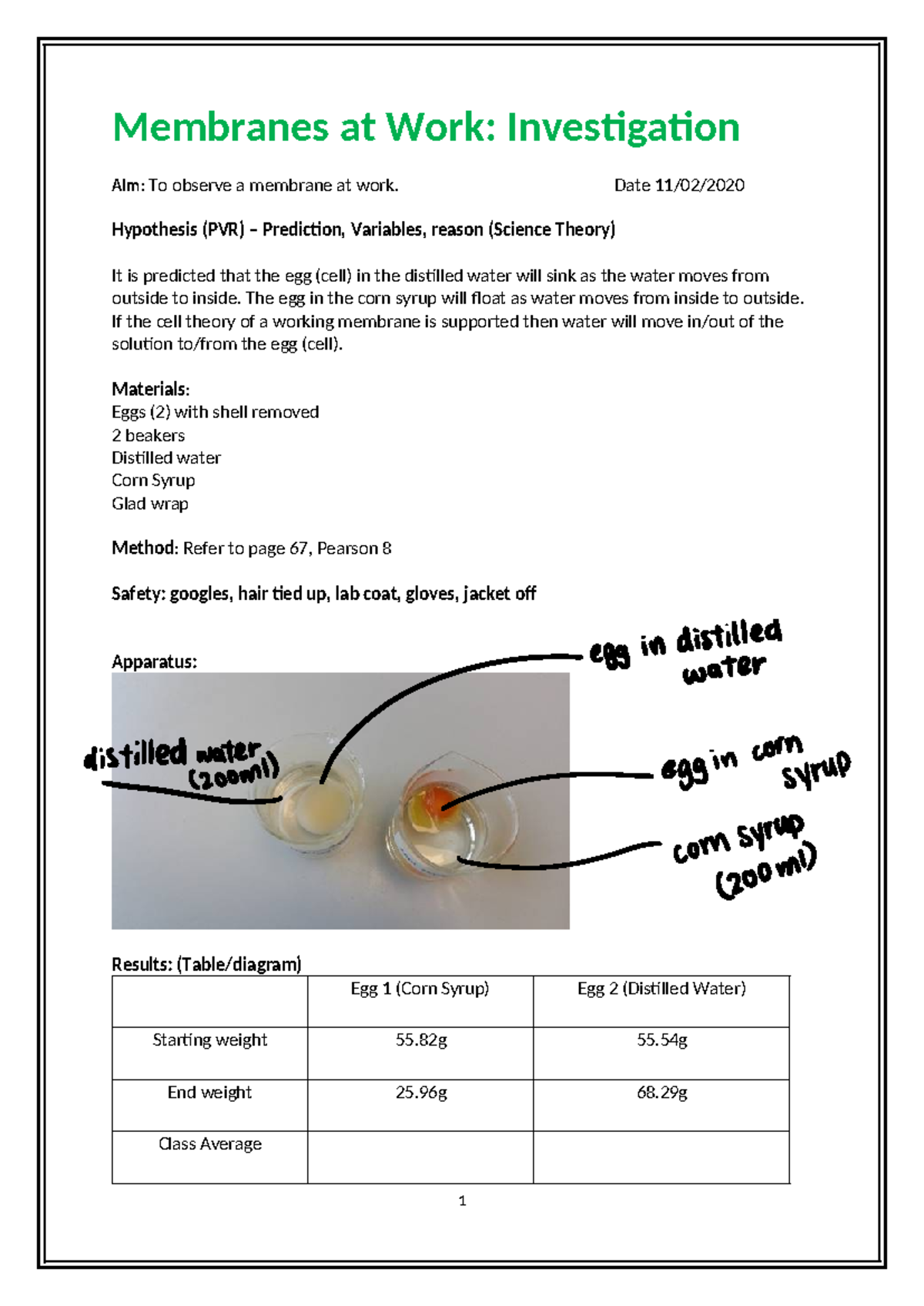 Membranes at Work Prac Template - Membranes at Work: Investigation Aim ...
