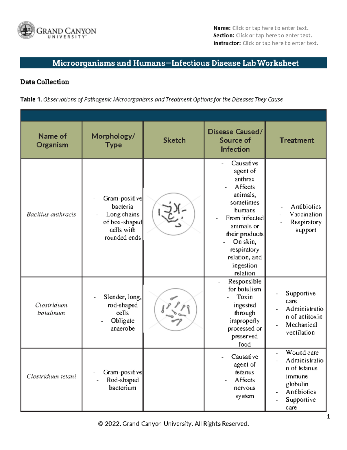Infectious disease worksheet - Section: Click or tap here to enter text ...
