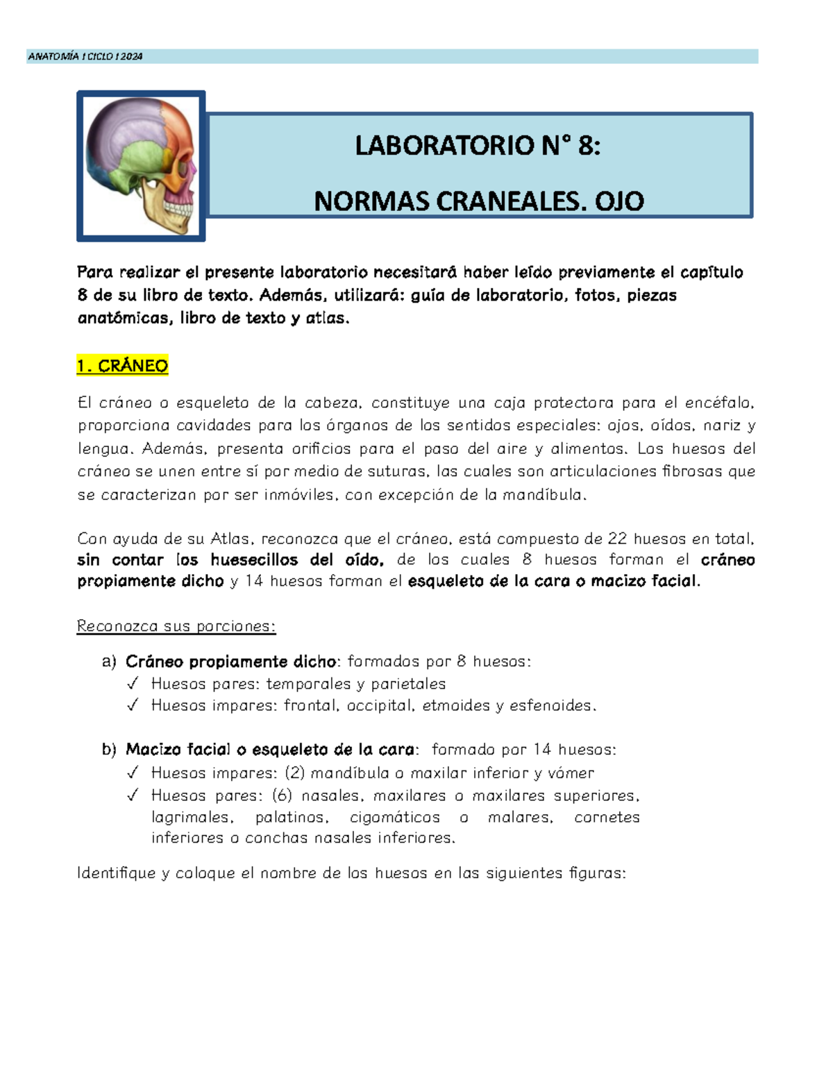 Lab 8 Macro 2024 - Anatomía I - a) b) LABORATORIO N° 8: NORMAS ...