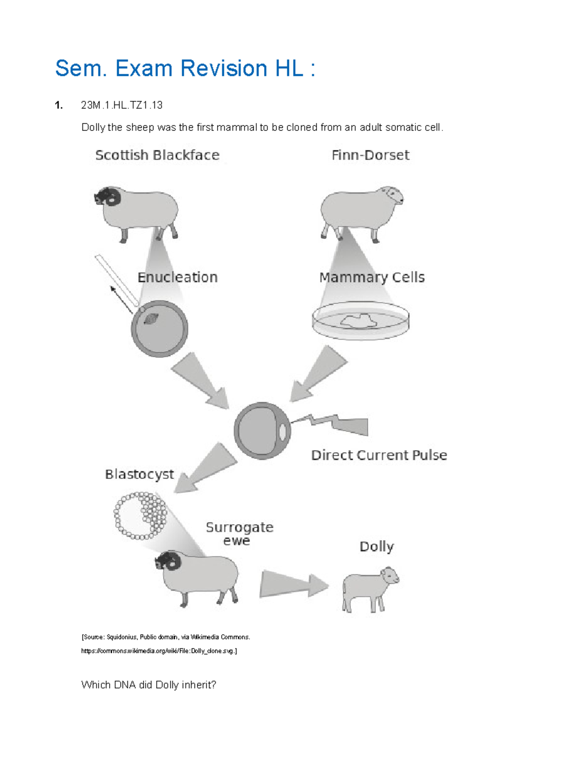 Sem.1 revision HL - kkhh - Sem. Exam Revision HL : 1. 23M.1.HL. Dolly ...