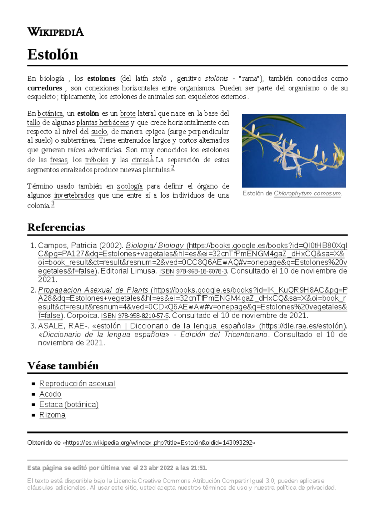 Estolón - Estolón de Chlorophytum comosum. Estolón En biología , los ...