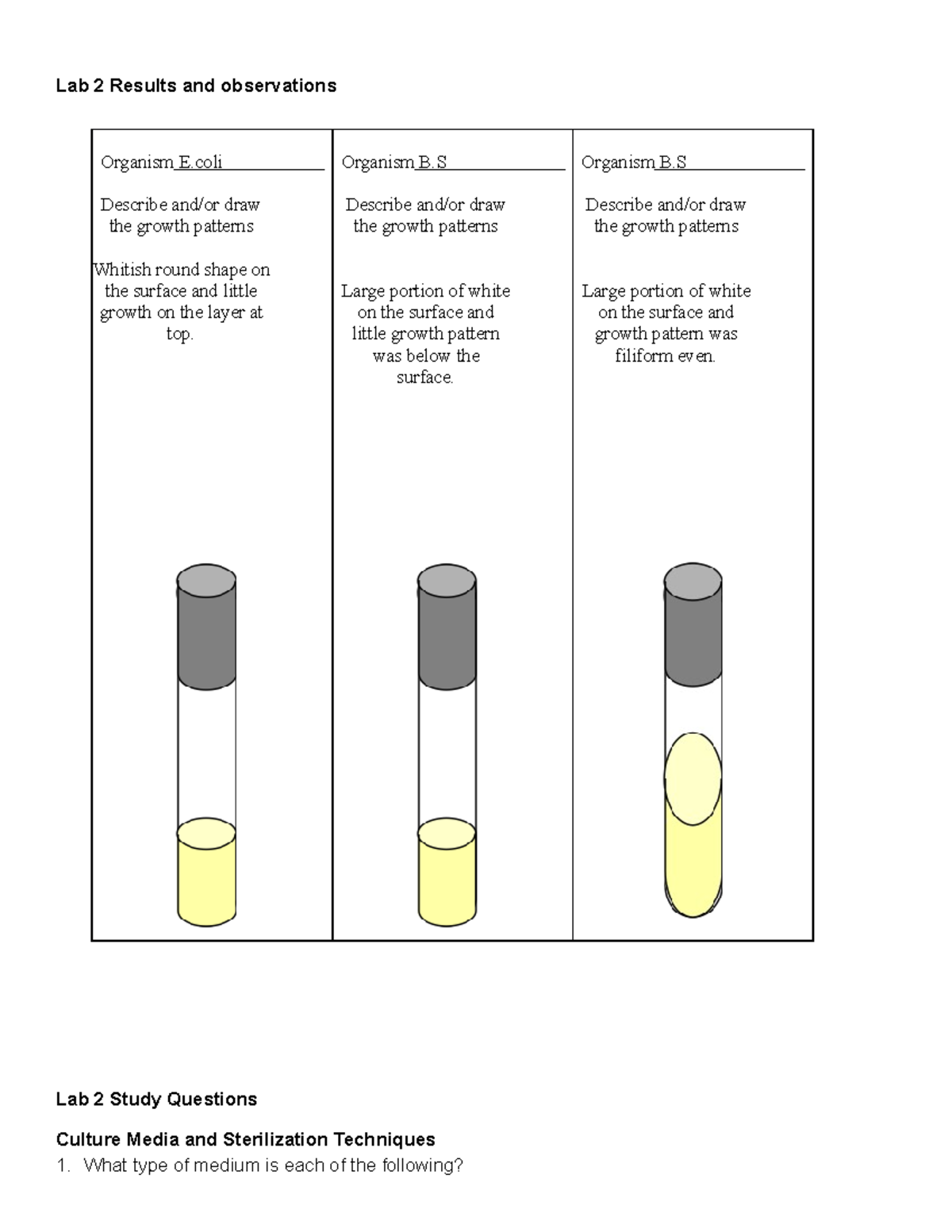 Lab2 - lab 2 - Lab 2 Results and observations Organism E Describe and ...