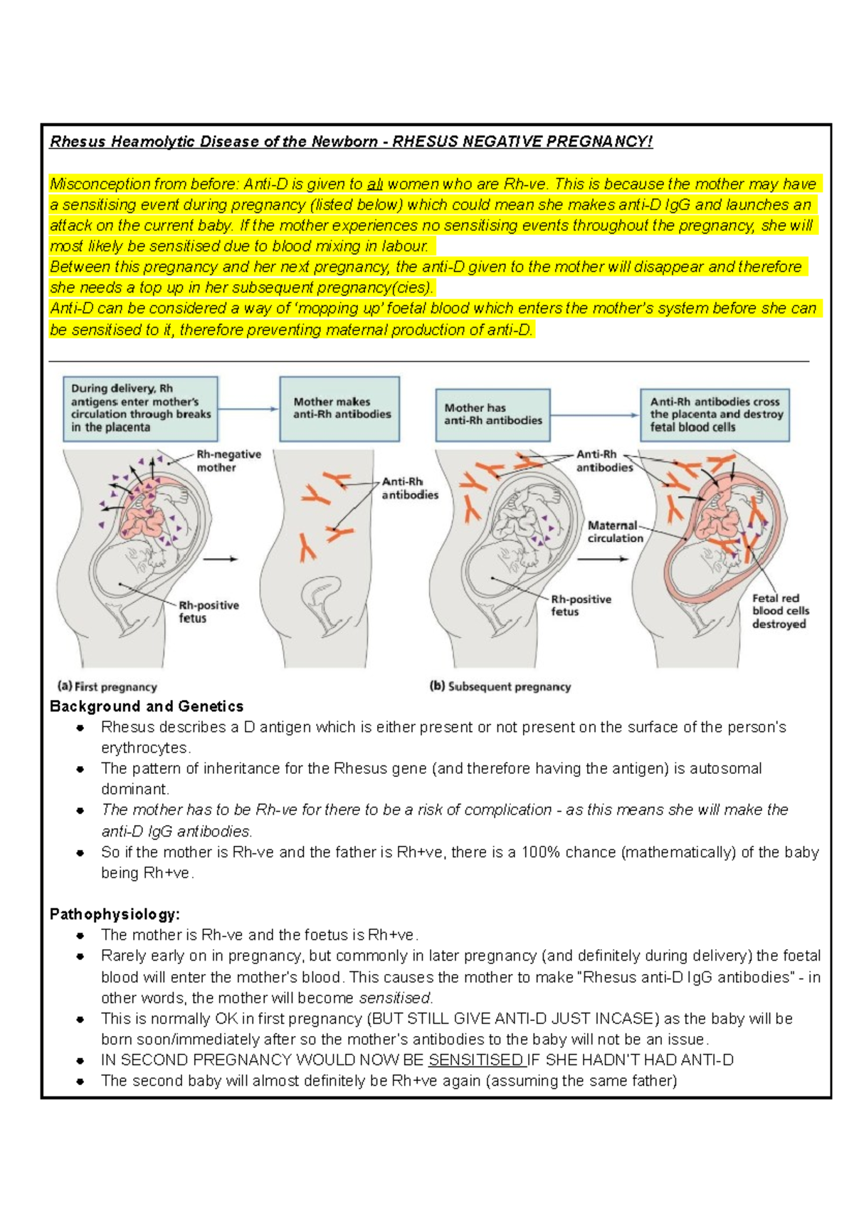 Rhesus Haemolytic Disease of the Newborn - This is because the mother ...