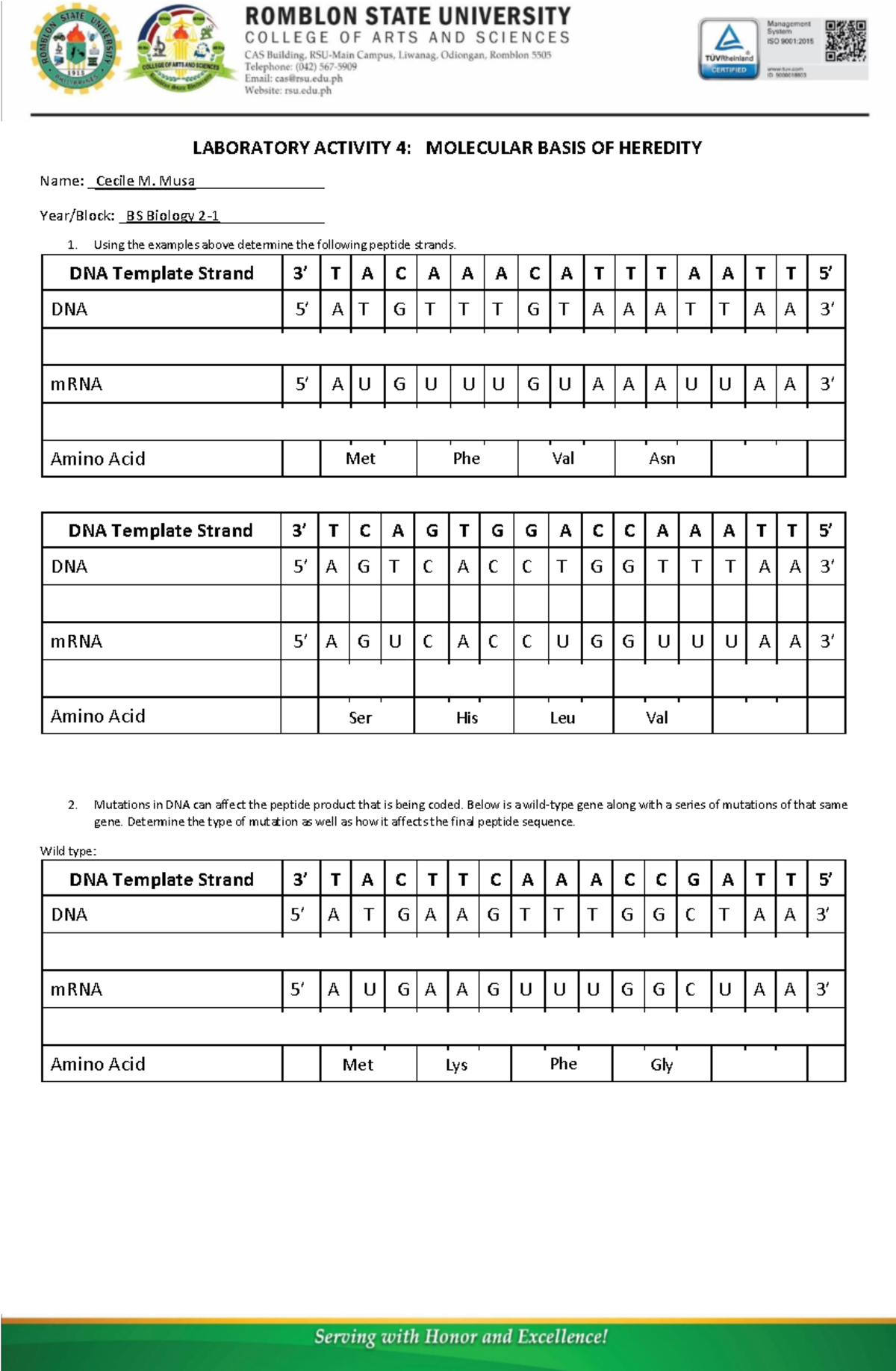 Activity-4-Transcription-and-Translation Genetics lab - LABORATORY ...