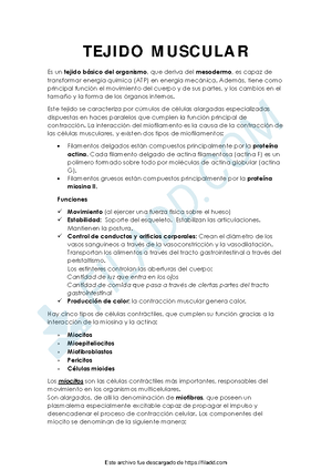 Morfo - Grandes apuntes sobre anatomía del ciego, apéndice vermiforme ...