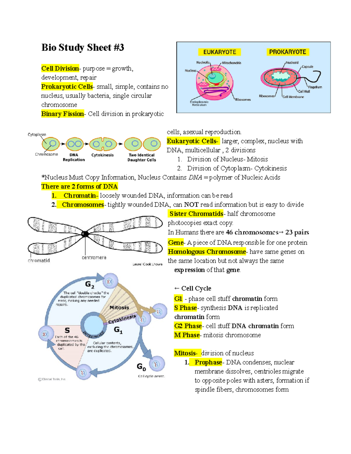 Bio Study Sheet 3 - Lecture notes 1-6 - Bio Study Sheet #3 Cell ...
