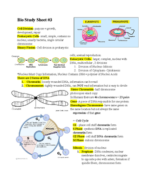 Chapter 17 Complex Patterns of Inheritance - Chapter 17: Complex ...