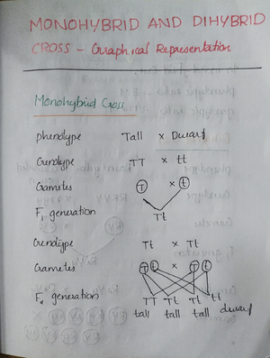 Tenses in simple form - English Language - UoK - Studocu