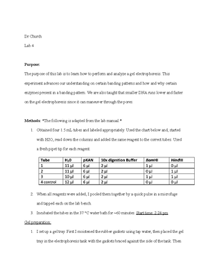 Mac's copy - Genetics Lab with Geoffrey Church Lab Report - Evaluating If a pUC19 Plasmid ...