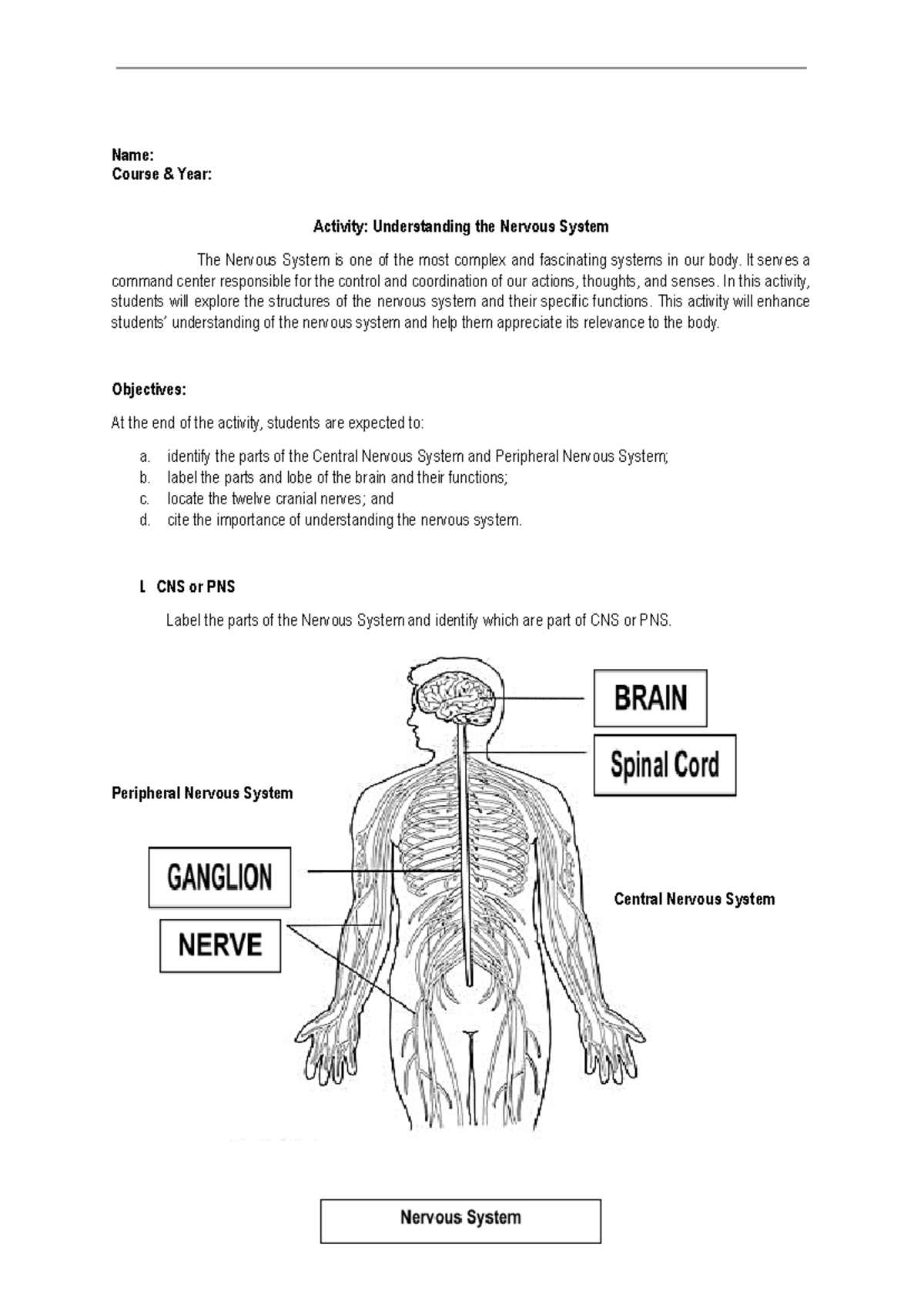 DE LOS Santos The-Nervous-System-Activity-Sheet-1.docx - Name: Course ...