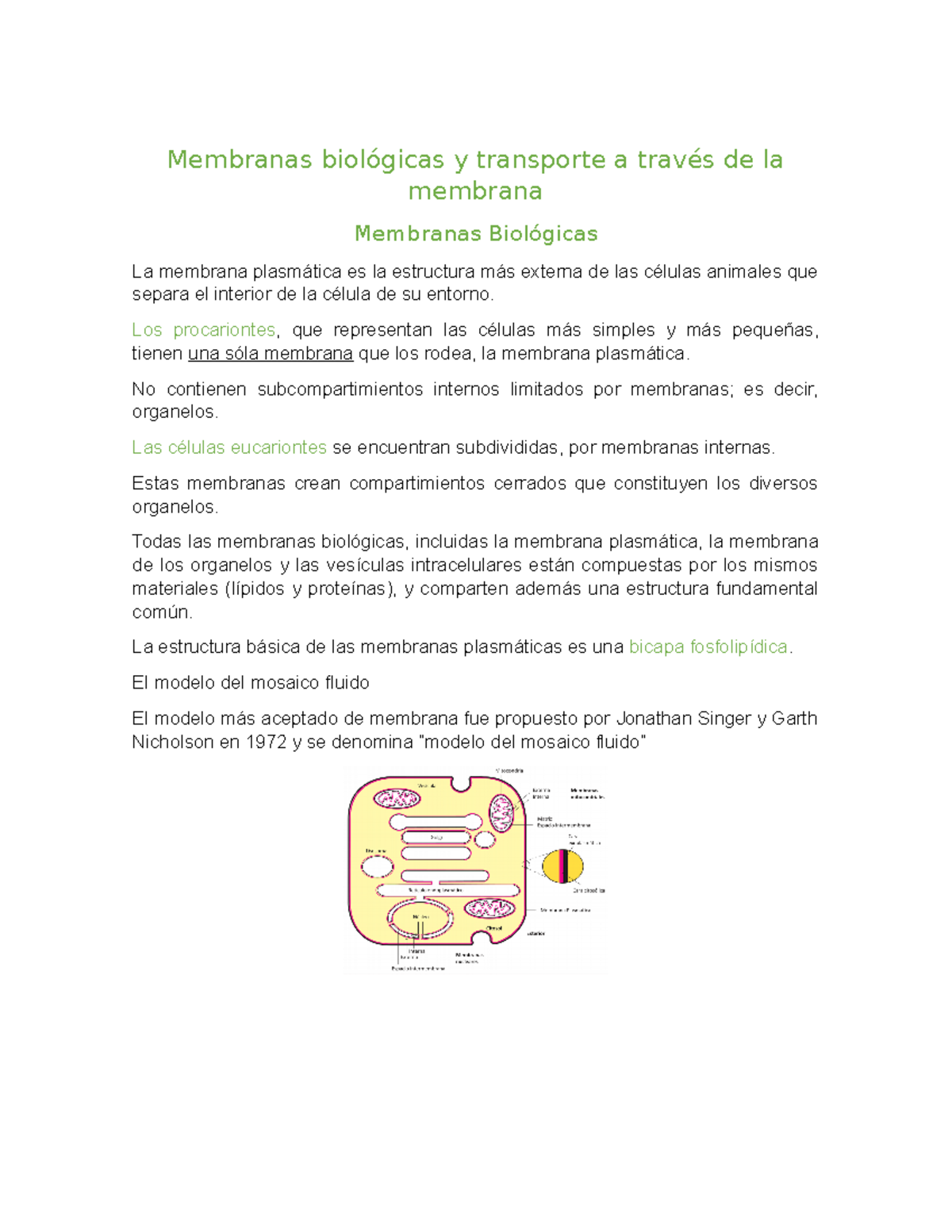 Membranas biológicas y transporte a través de la membrana - Membranas ...