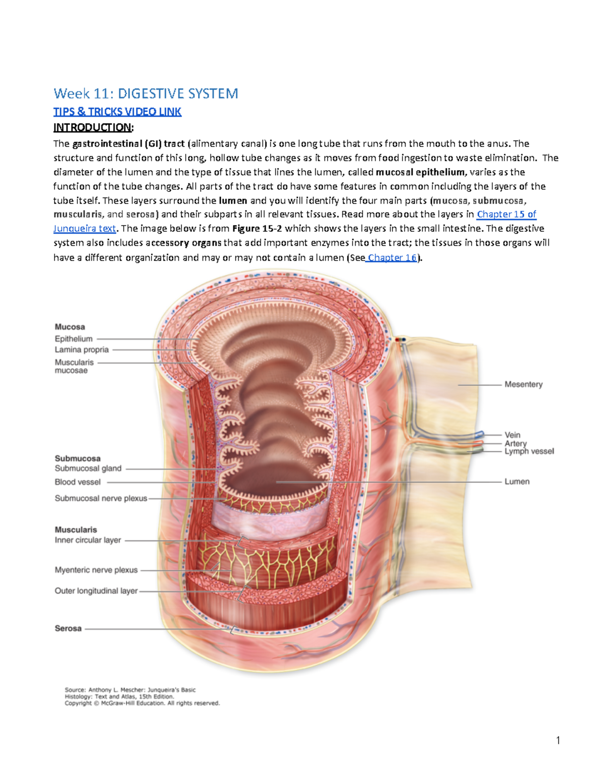 Week 11 Digestive System - Week 11: DIGESTIVE SYSTEM TIPS & TRICKS ...