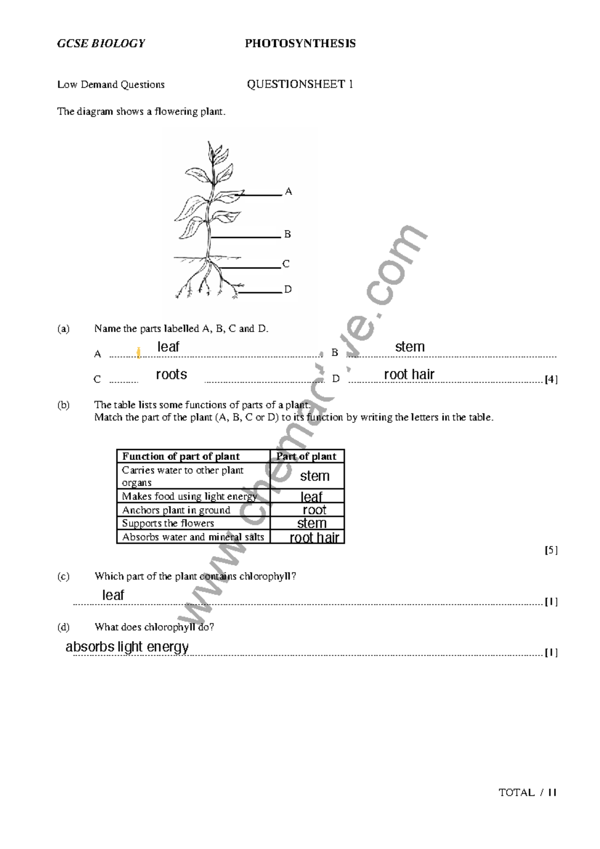 Photosynthesis questions - chemactive A B C D Low Demand Questions ...