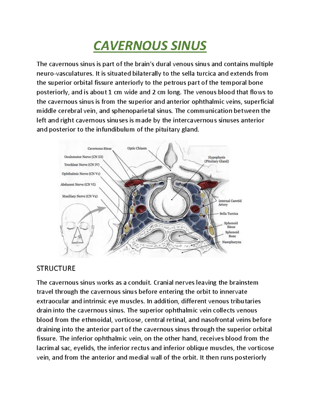 Cavernous Sinus - CAVERNOUS SINUS The cavernous sinus is part of the ...