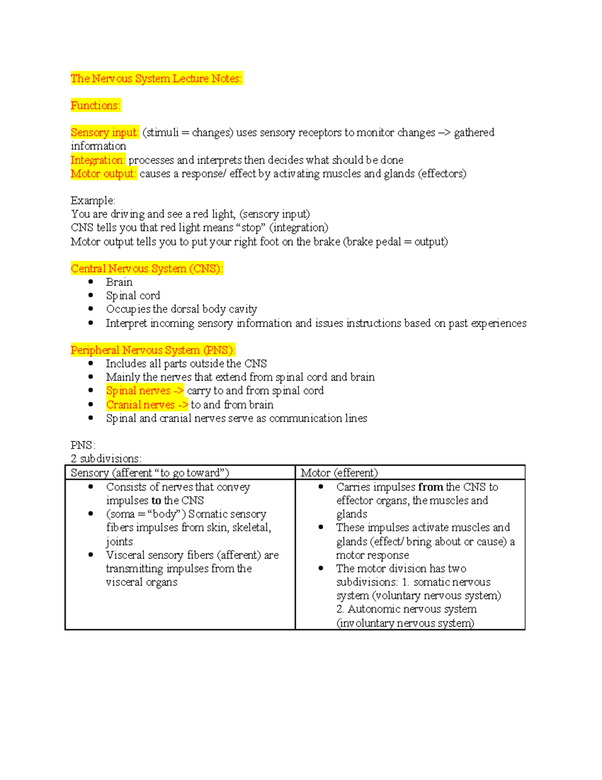 Anatomy Week 8 notes - The Nervous System Lecture Notes: Functions ...