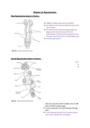 Chapter 12-ANIG - notes and slides - ANIG 2624 - Studocu