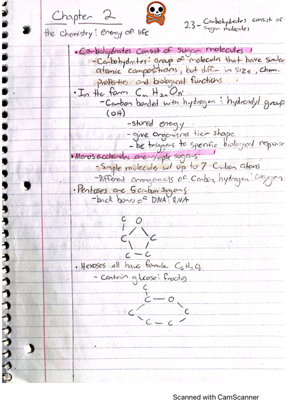 AP Bio Lesson 2.3 - Studocu