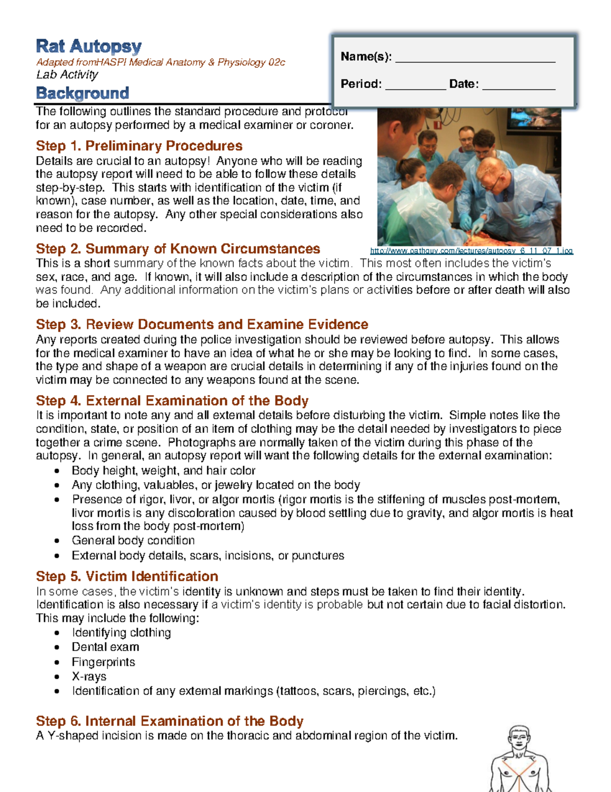 Rat autopsy summery - Adapted fromHASPI Medical Anatomy & Physiology ...