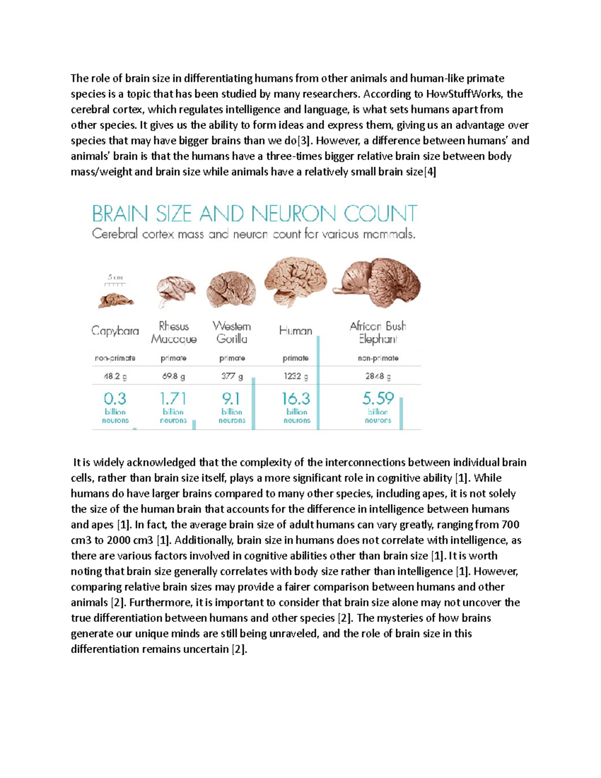 Brain size - Social Anthropology - Studocu