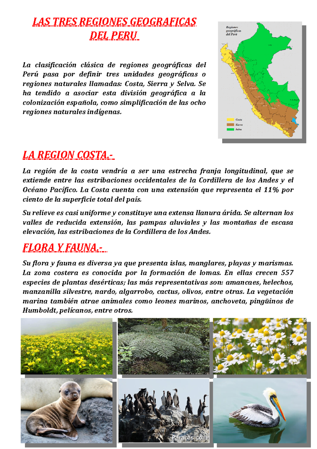 LAS TRES Regiones Geograficas DEL PERU - LAS TRES REGIONES GEOGRAFICAS ...