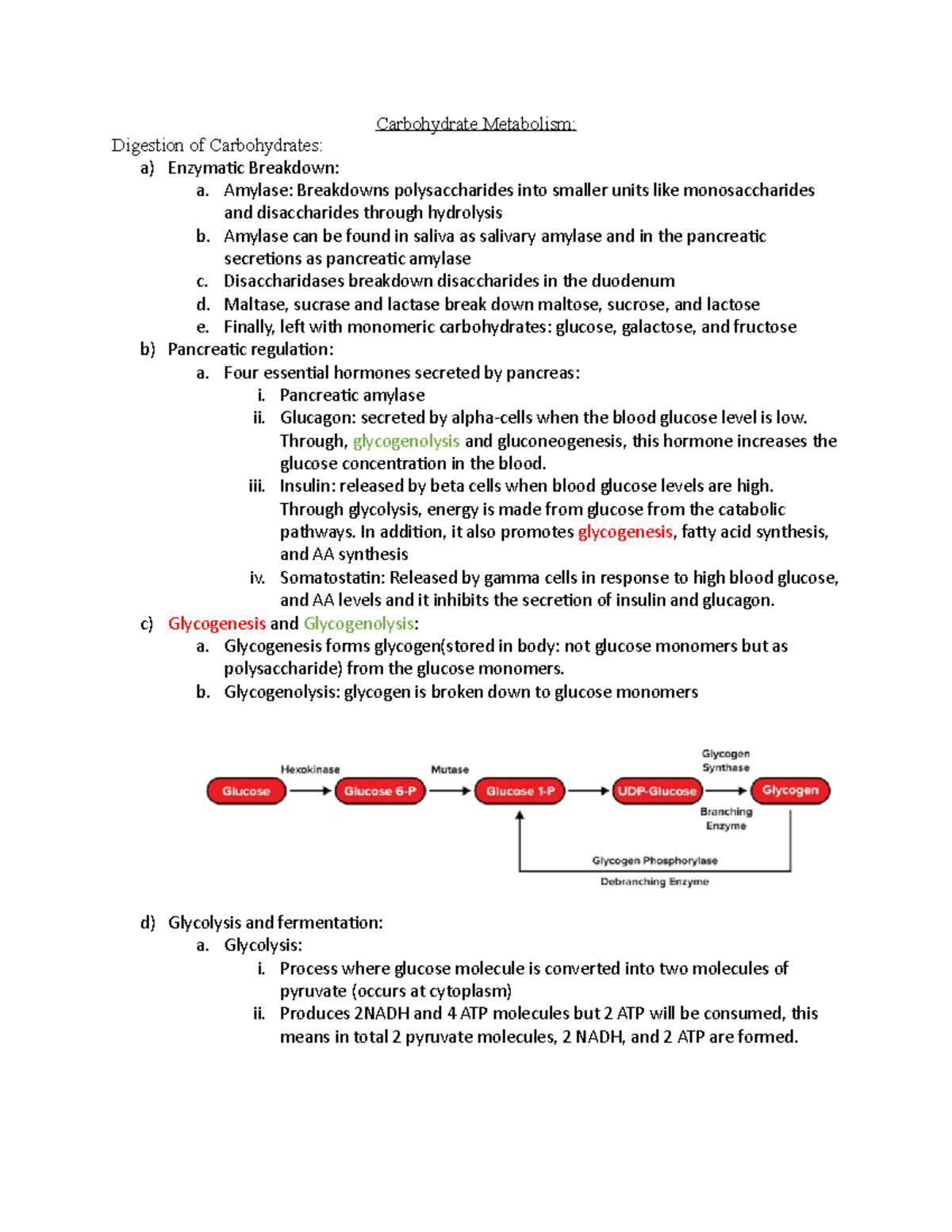 Carbohydrate Metabolism Carbohydrate Metabolism Digestion Of