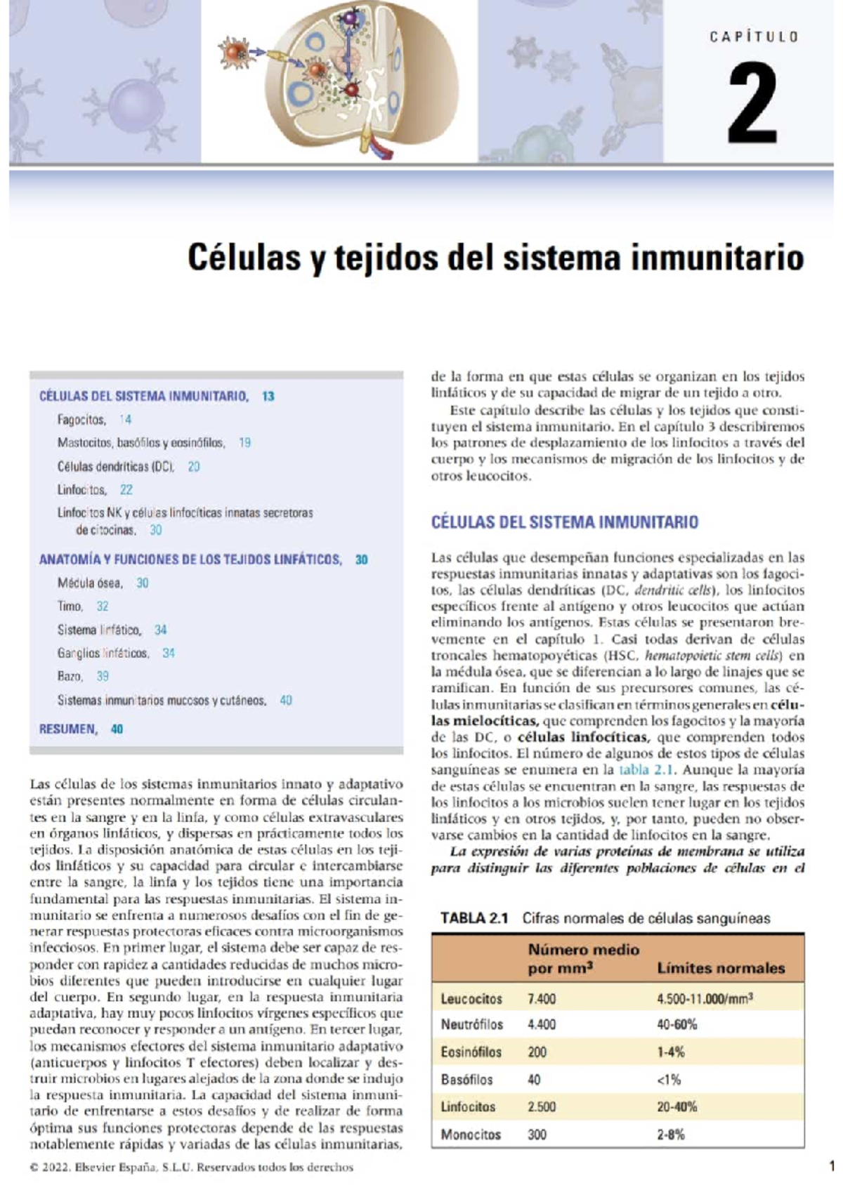Células Y Tejidos DEL Sistema Inmunitario - Abbas - CÉLULAS DEL SISTEMA INMUNITARIO, 13 ...