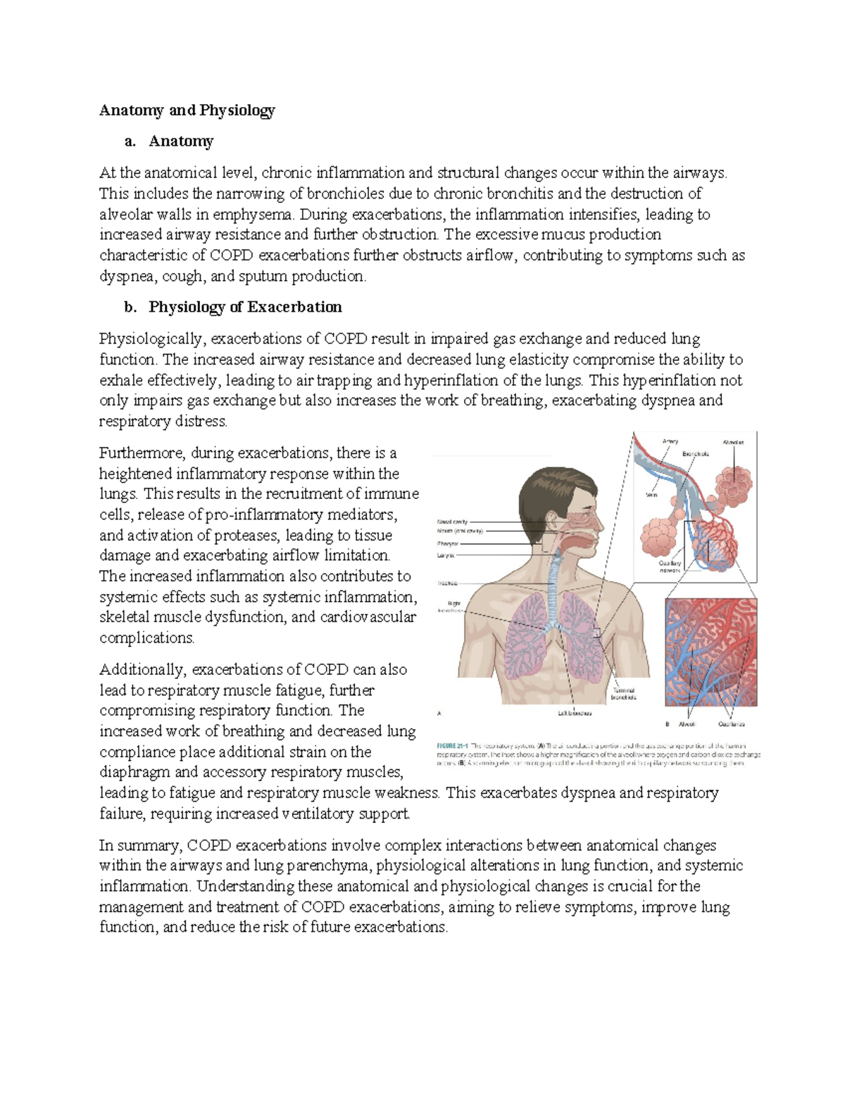 CHA COPD Exacerbation - Physiology and Pathophysiology of COPD ...