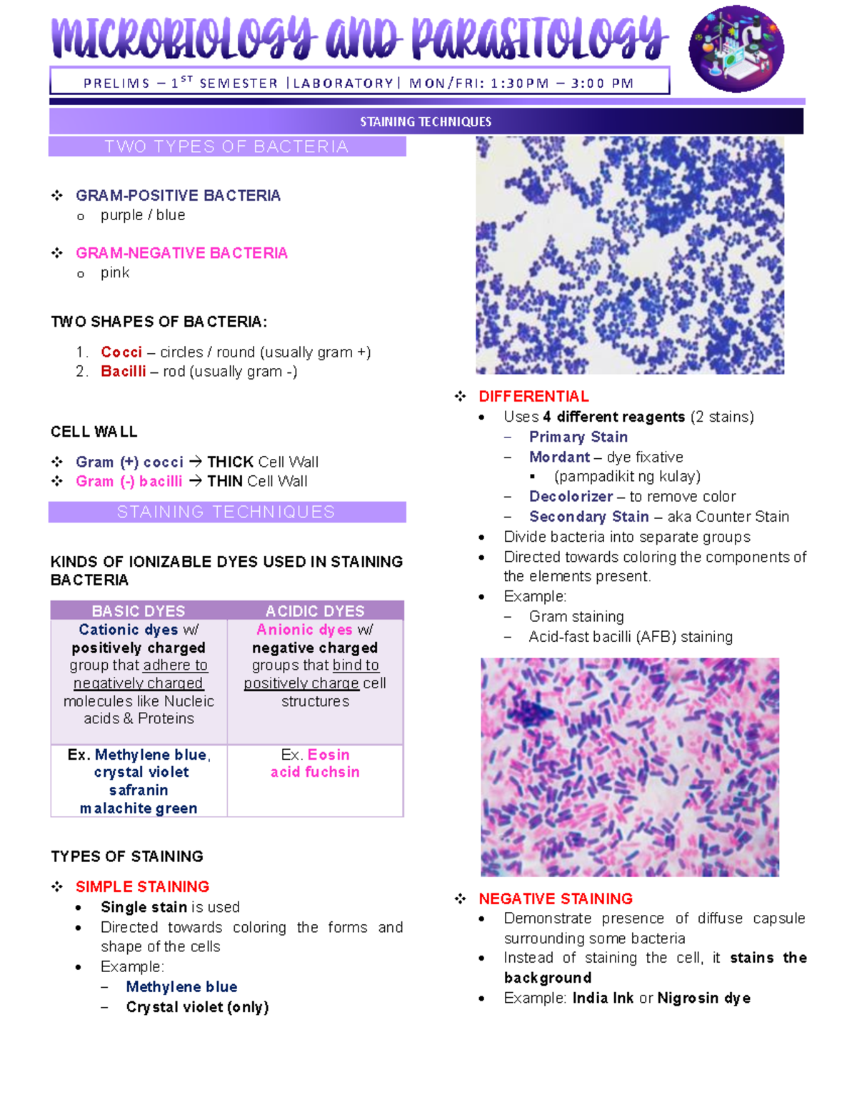 Phmplab Reviewer Staining Techniques - TWO TYPES OF BACTERIA GRAM ...