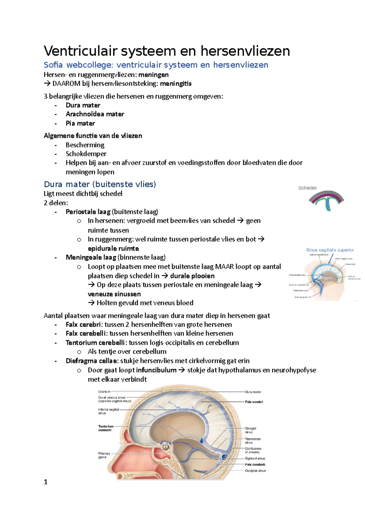 4 ventriculair systeem en hersenvliezen - neurologische en inwendige ...