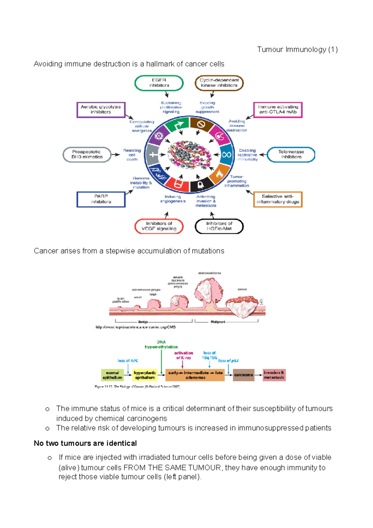 Tumour Immunology Lecture 1 - Tumour Immunology (1) Avoiding immune ...
