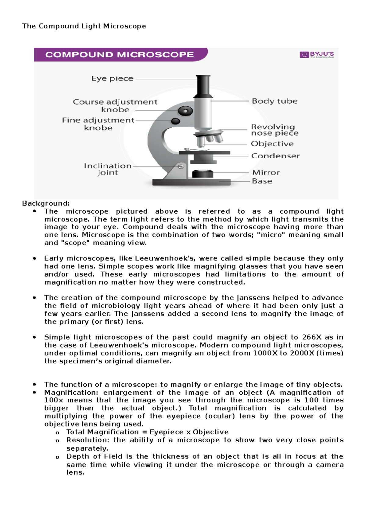 The Compound Light Microscope - The Compound Light Microscope ...