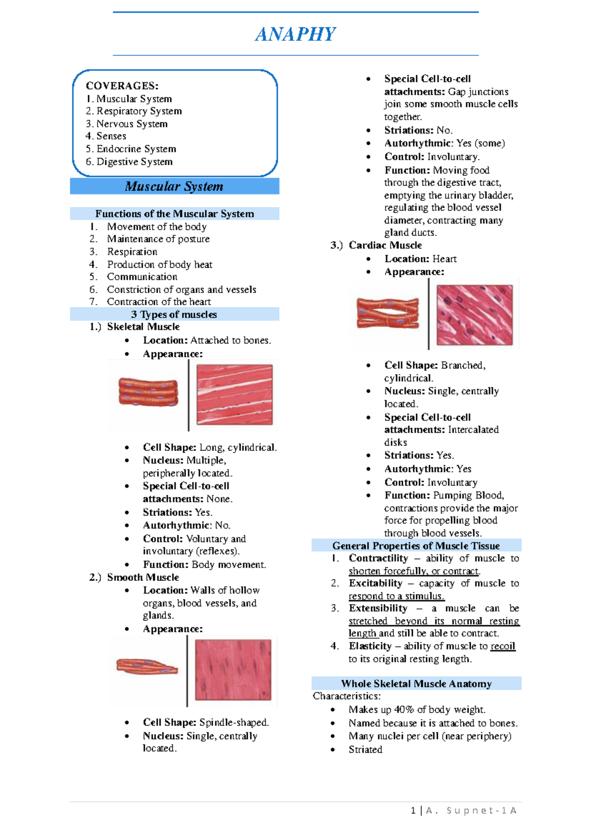 Anaphy Midterm Reviewer - Muscular System Functions of the Muscular System Movement of the body ...
