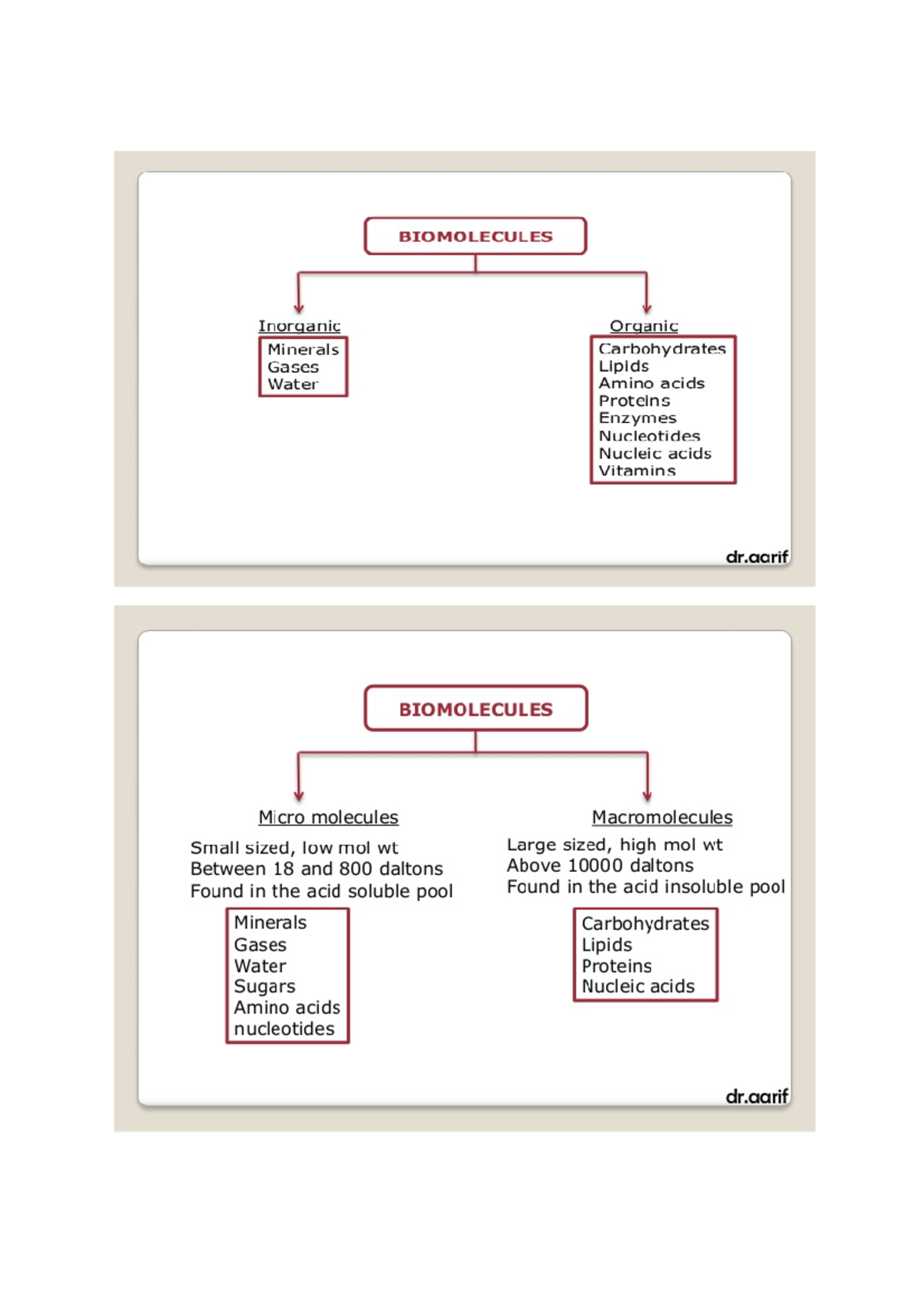 Biomolecule - lecture notes - Biochemistry – Theory - Studocu