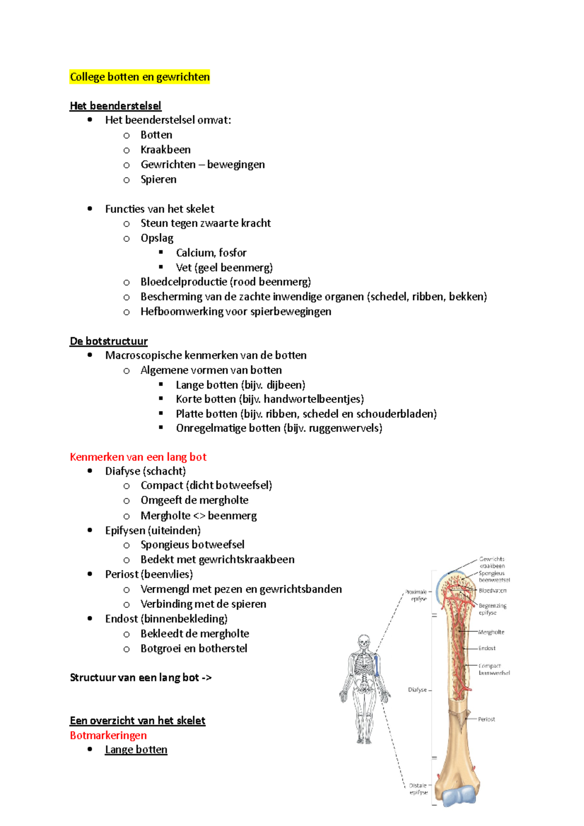College botten en gewrichten jaar 1 periode 2 - College botten en ...