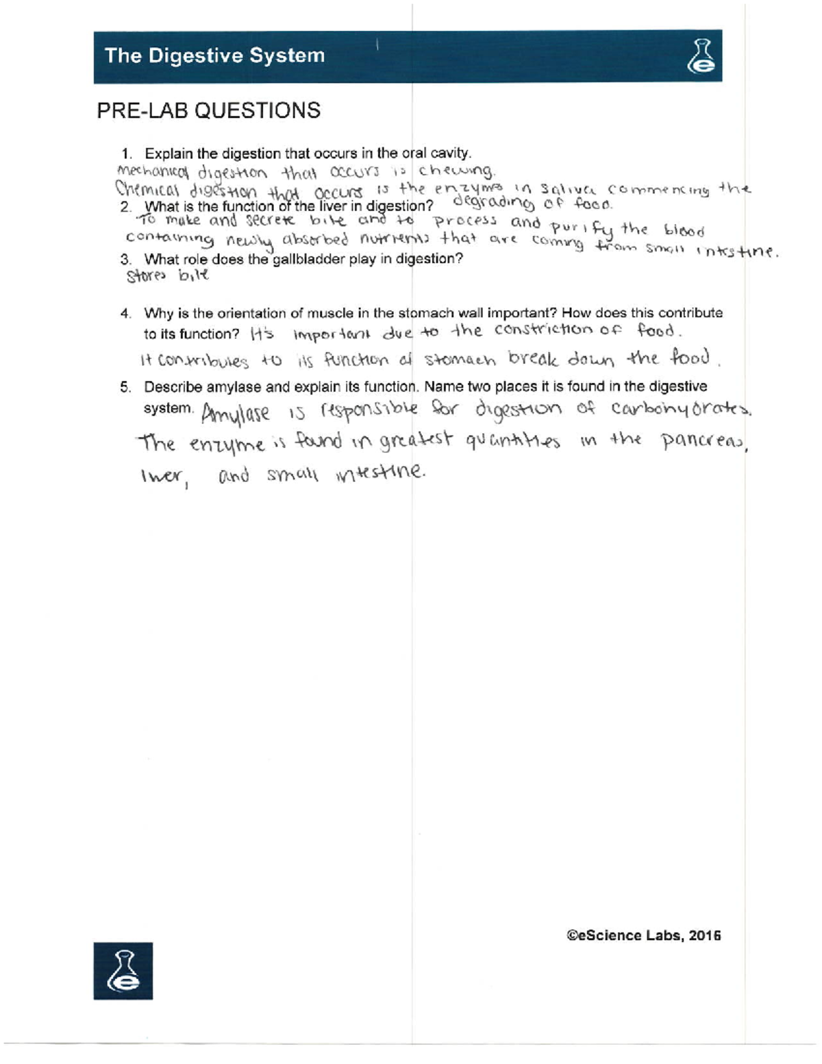 Lab 16 - Labs - BIOL F214X - Studocu