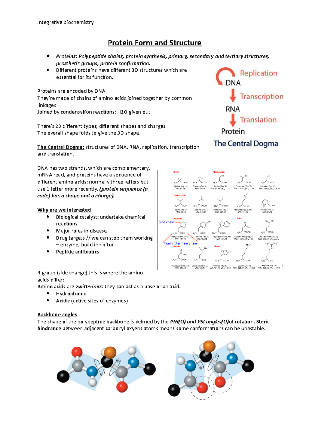 Protein Form and Structure - notes - Integrative biochemistry Protein ...