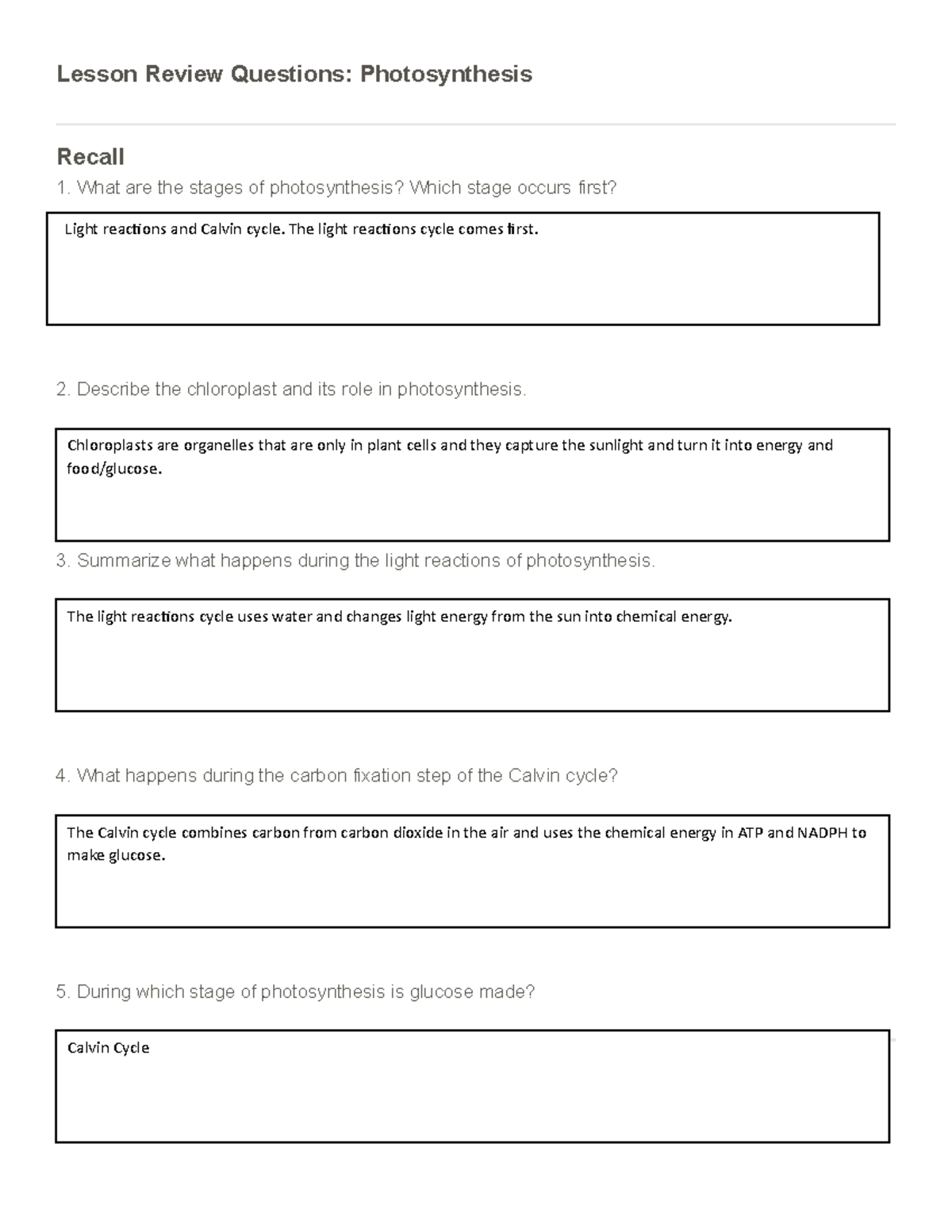 CK12 photosynthesis Lesson Review Questions - Lesson Review Questions ...