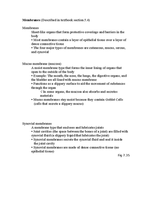 Hart Evolutionary Arms Race - Hart Evol Arms Race Wkst BIO 10 WORKSHEET ...