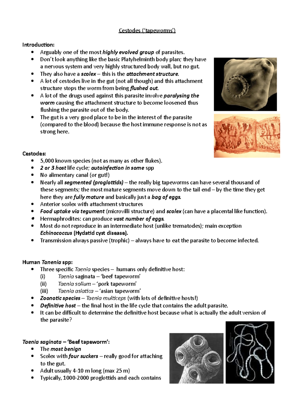 L10 Cestodes - 2nd year parasitology module - Cestodes (‘tapeworms ...